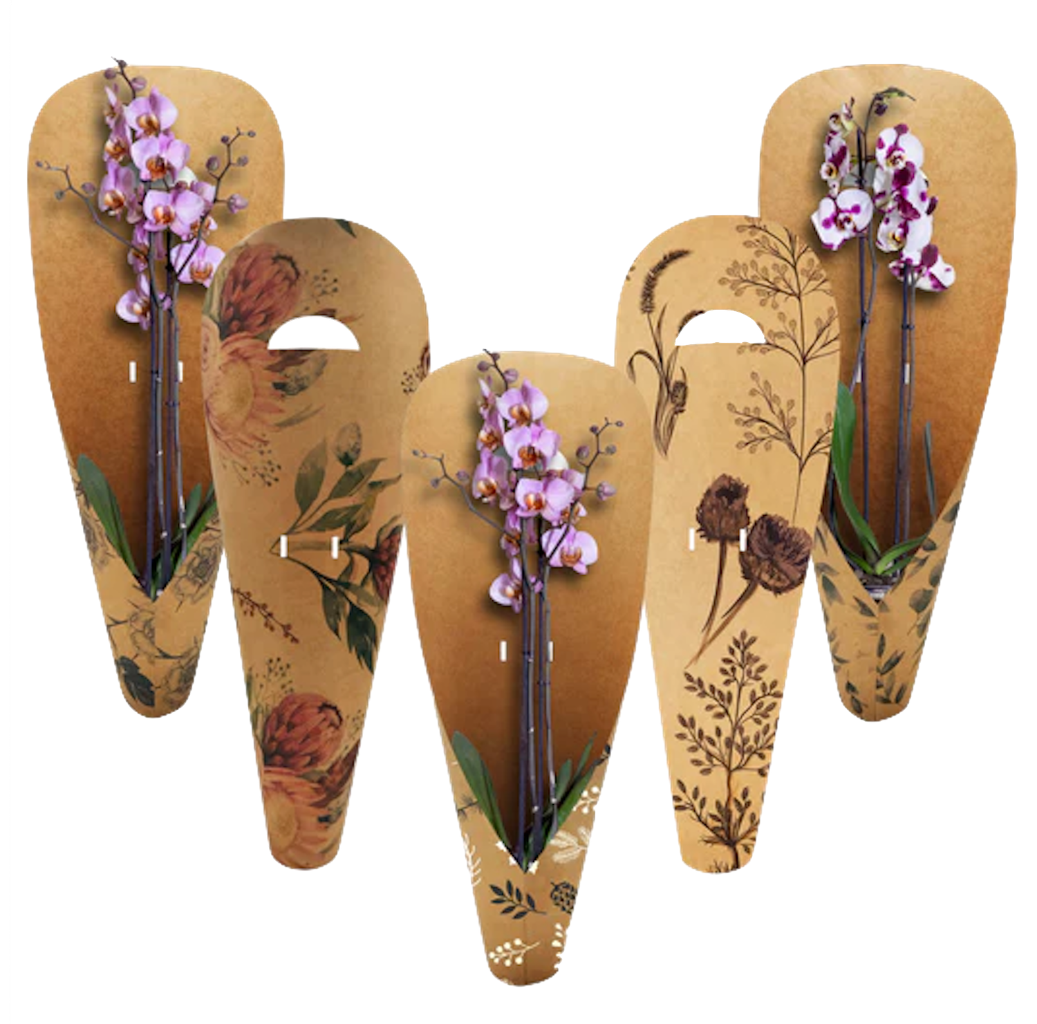 Orchid Carry Bag – Eco Plant Pack UK