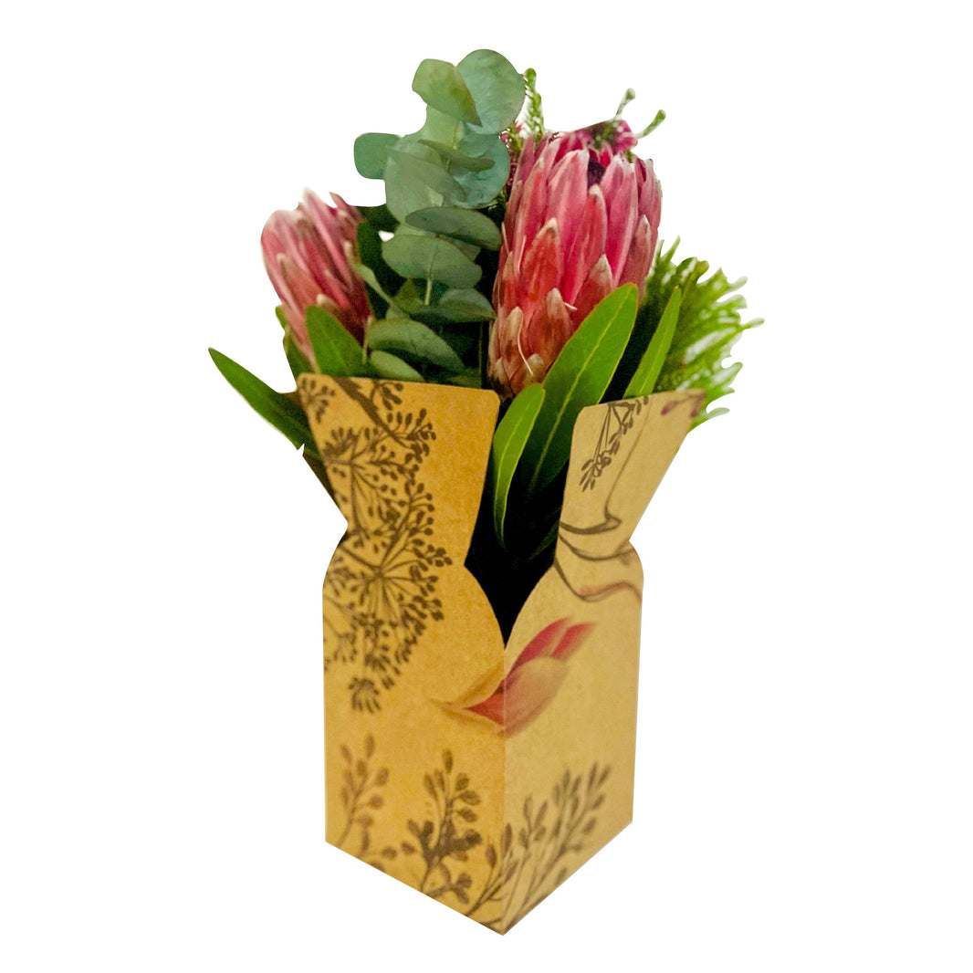 Posy Box – Eco Plant Pack UK